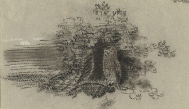 Samuel Lucas (1805-1870): artist, farmer, anti-slaverNorth ...